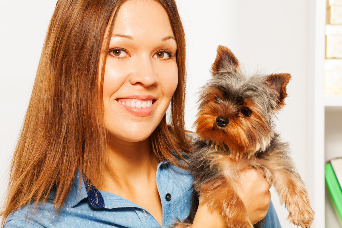 How to Treat a Yorkie's Itchy Skin - Yorkie Universe