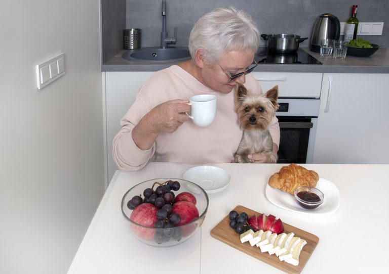 Managing Incontinence in Aging Yorkies - Yorkie Universe