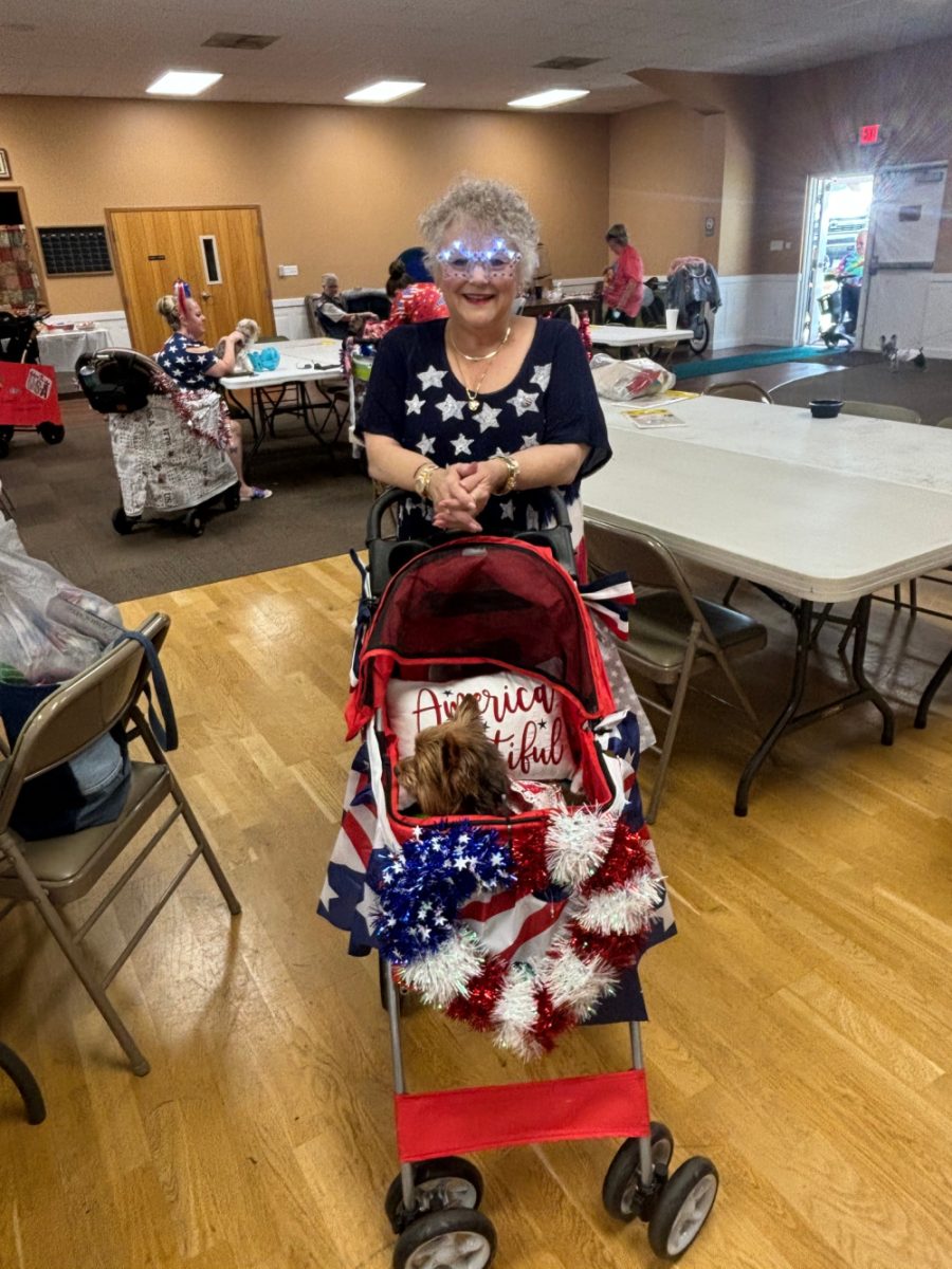 Your Quick Guide to Finding Yorkshire Terrier-Friendly Activities in a ...